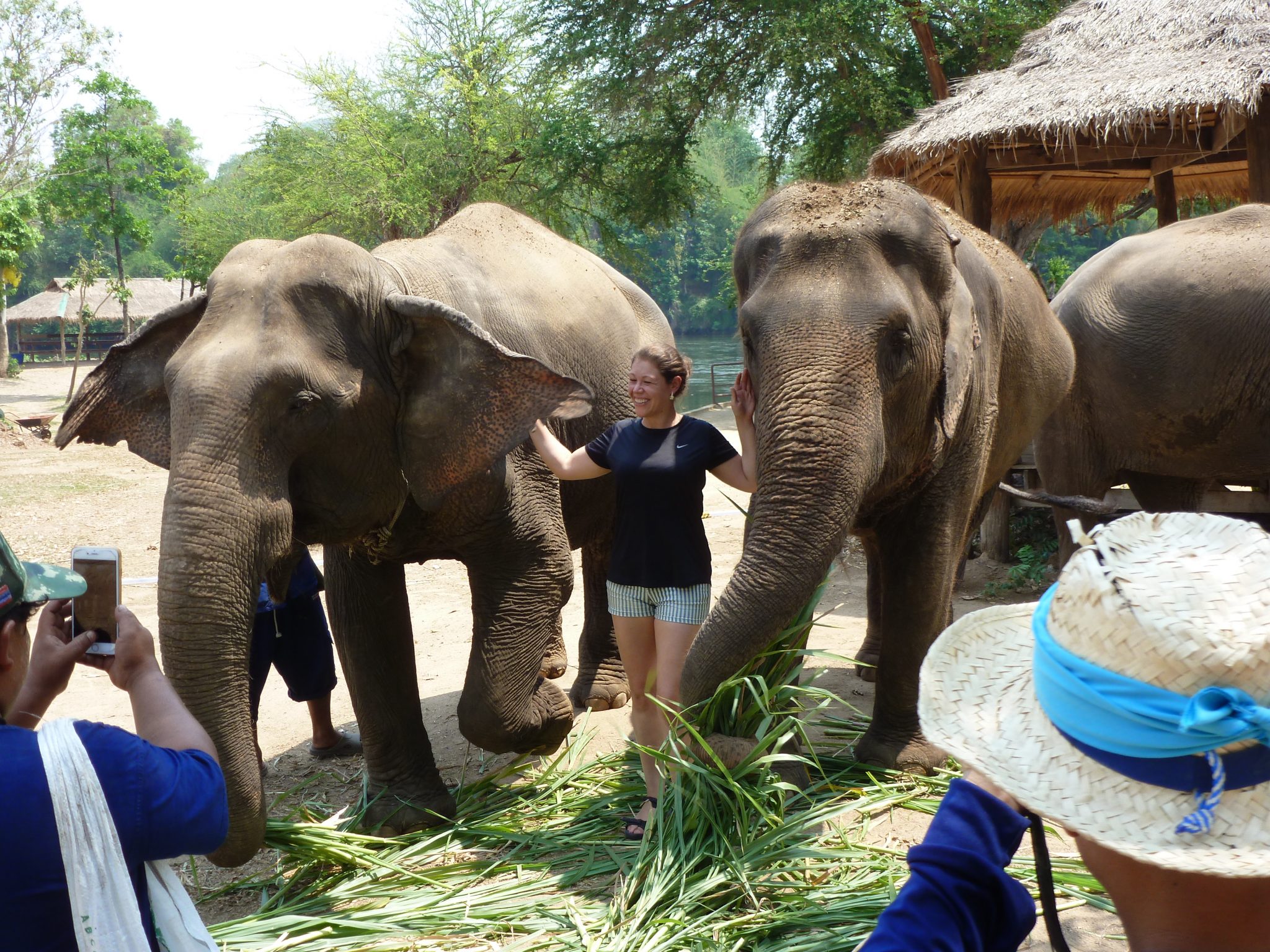 Making the right choice to protect animals - ANIMONDIAL
