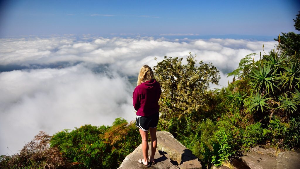 Comment: The sector must be more ambitious to create a nature-positive ...