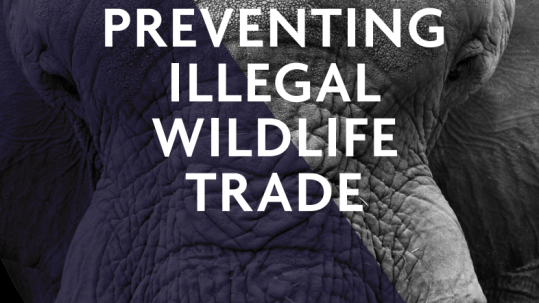 Preventing Illegal Wildlife Trade - ANIMONDIAL